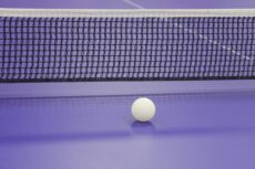 The Ultimate Guide to Table Tennis Nets: Types, Setup, and Maintenance ...